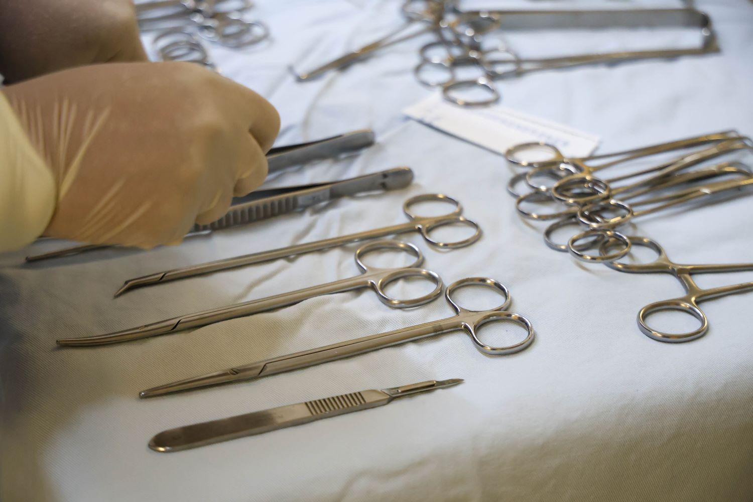 Dia do Médico Legista: reconhecimento e dedicação à Justiça - CNV Mais